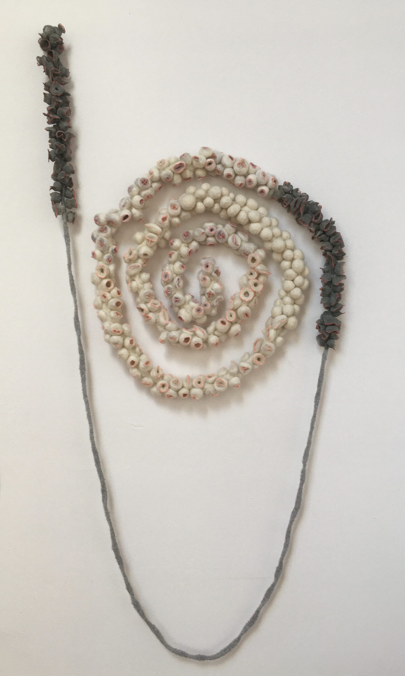 Creatives List :: Angus Creatives - Celebrating creativity throughout ...