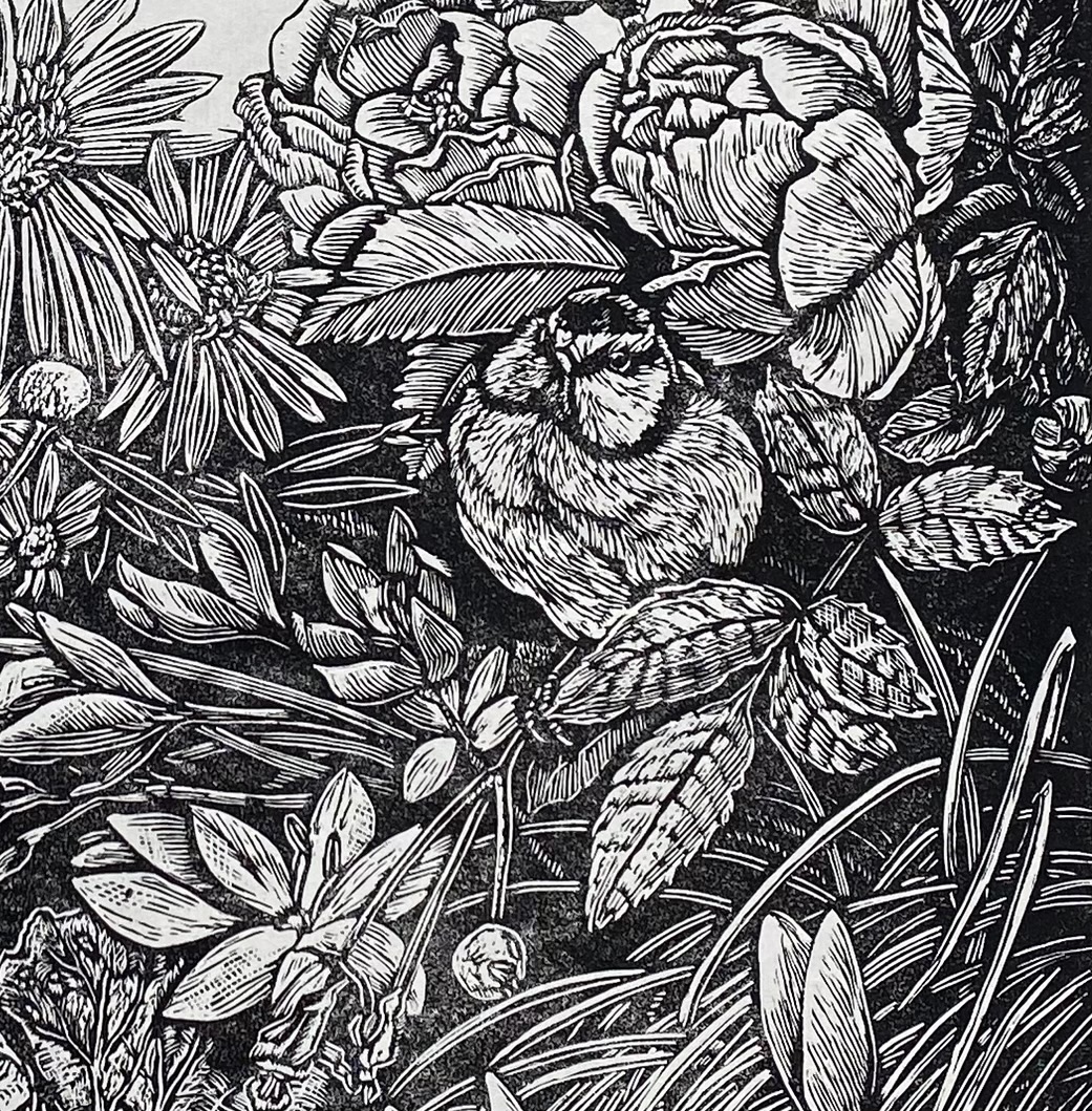 Creatives List :: Angus Creatives - Celebrating creativity throughout ...