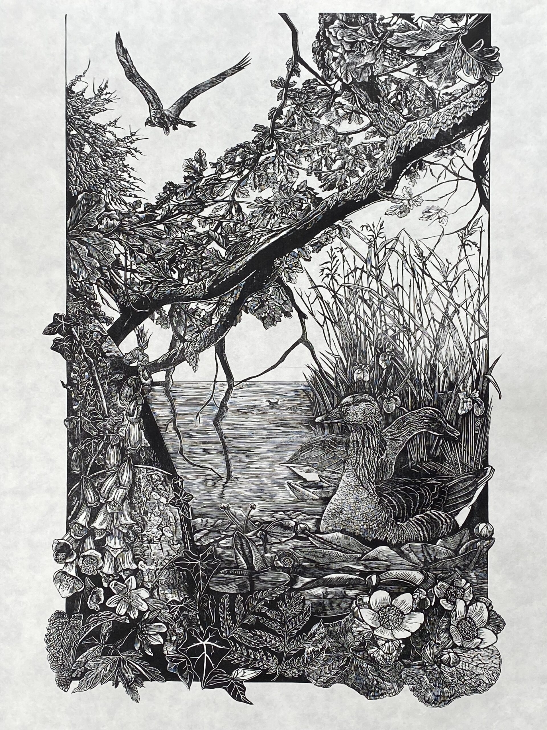 Creatives List :: Angus Creatives - Celebrating creativity throughout ...