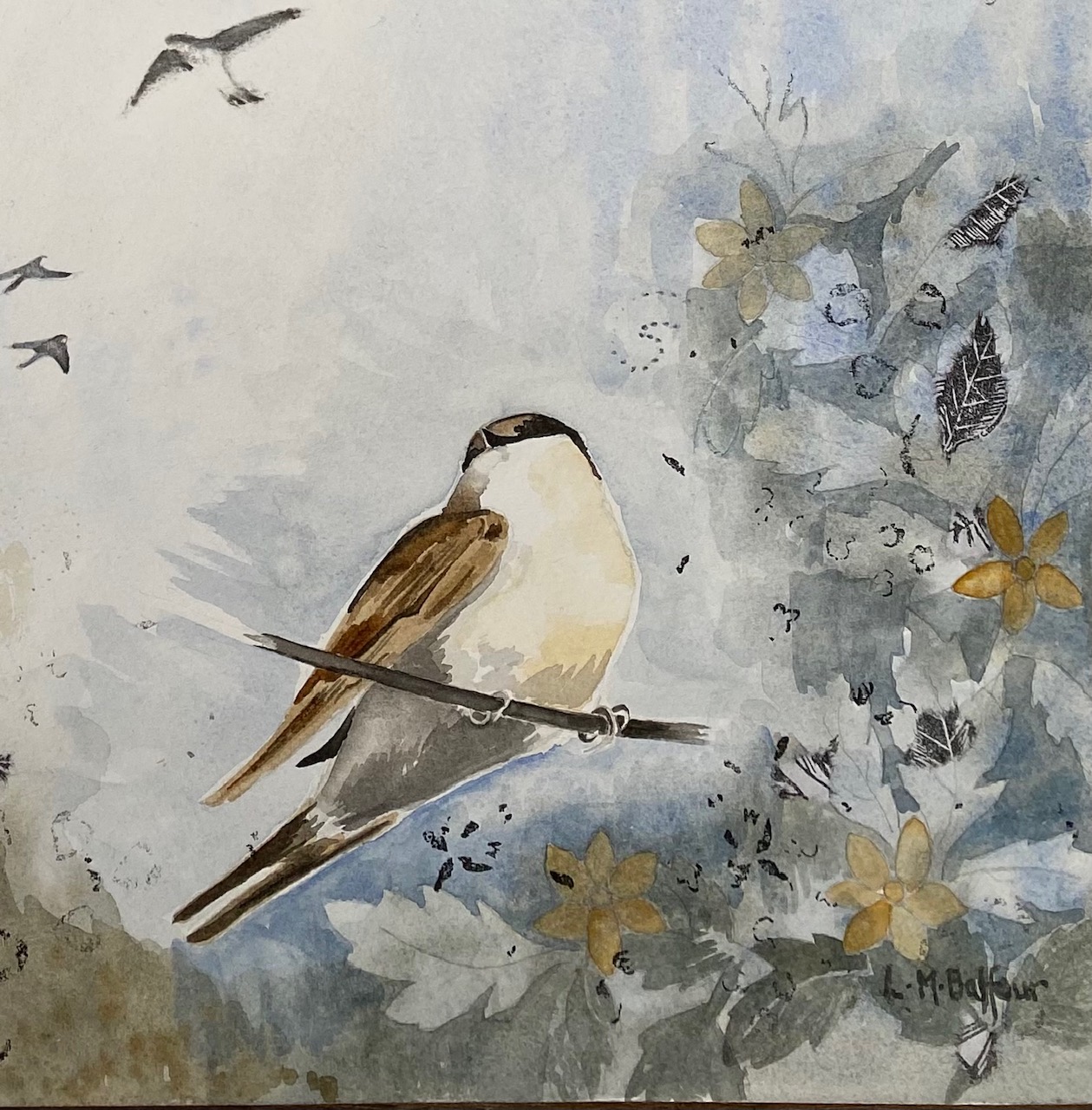 Creatives List :: Angus Creatives - Celebrating creativity throughout ...