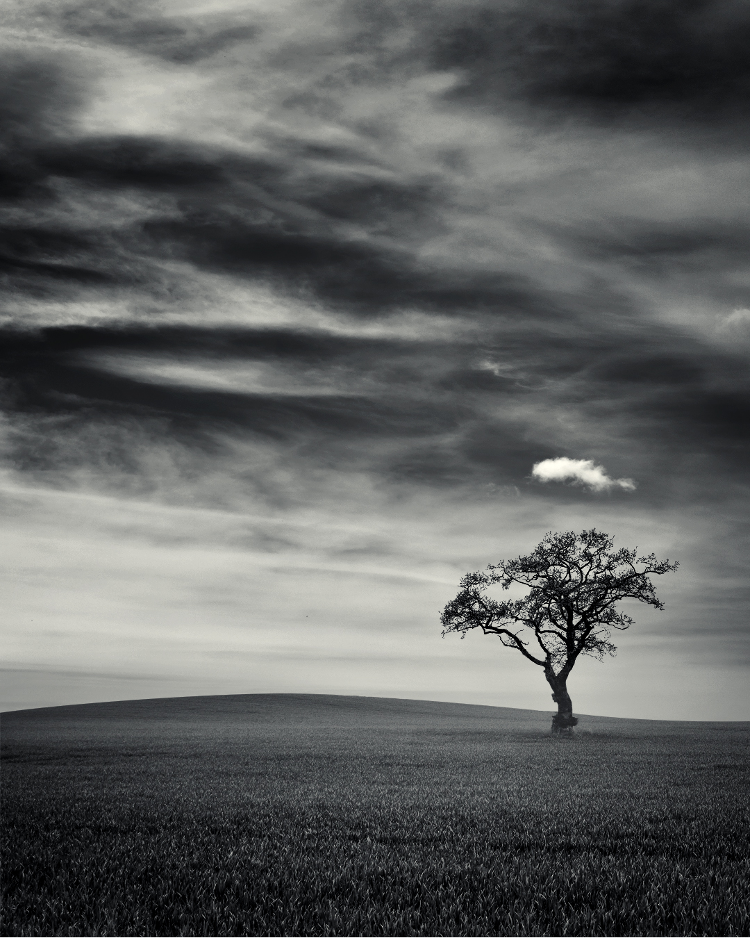 Creatives List :: Angus Creatives - Celebrating creativity throughout ...